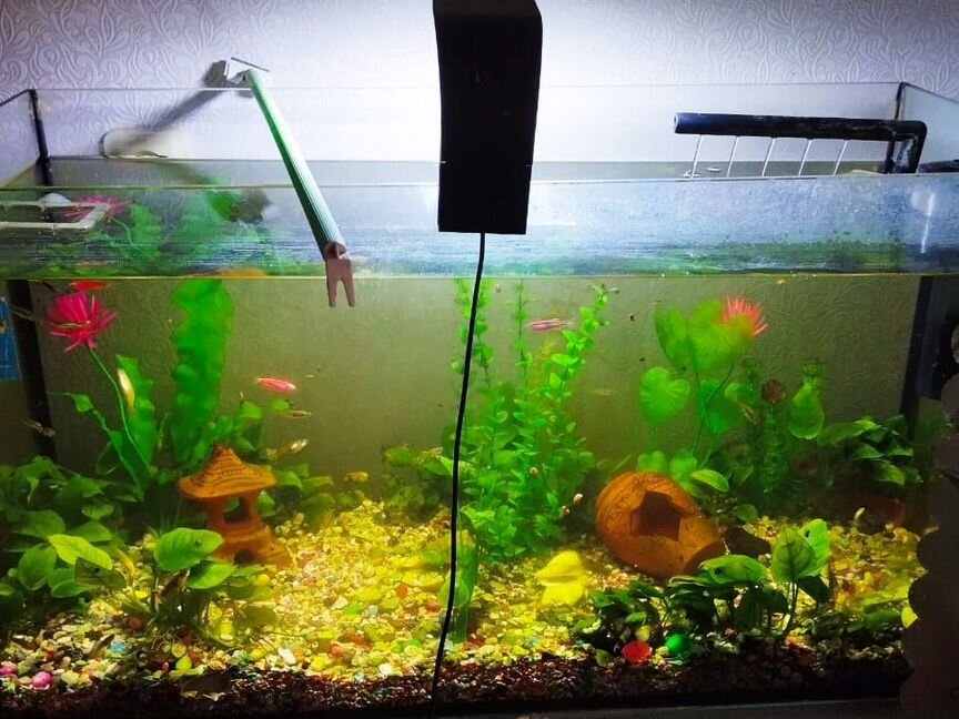 Аквариум, лампа, рыбы, домики, песок, водоросли