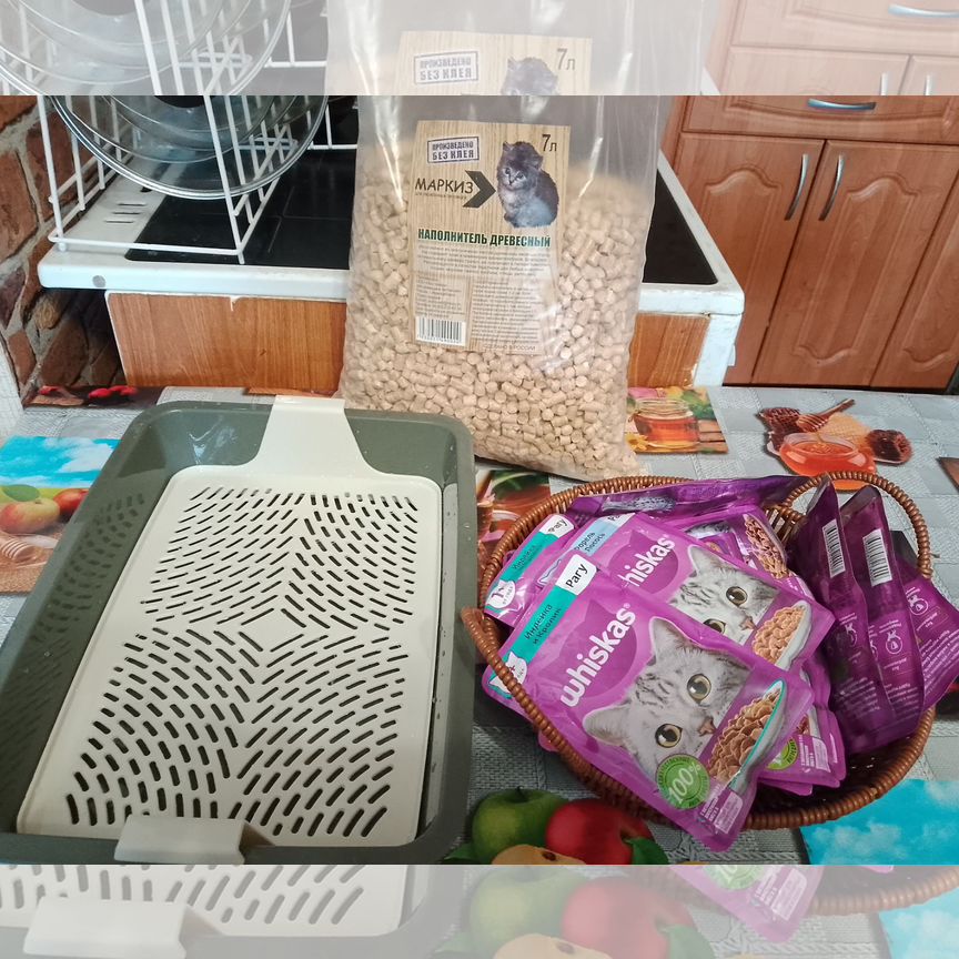 Кошачьи принадлежности