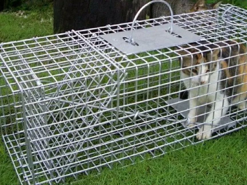 Клетка ловушка для кошек