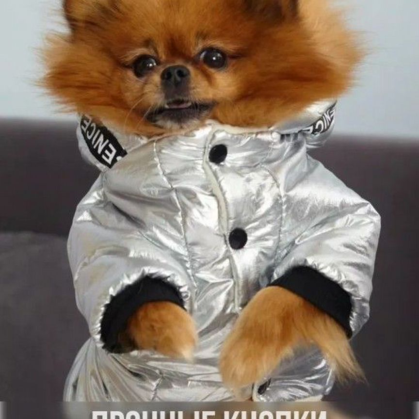 Шубка на собаку