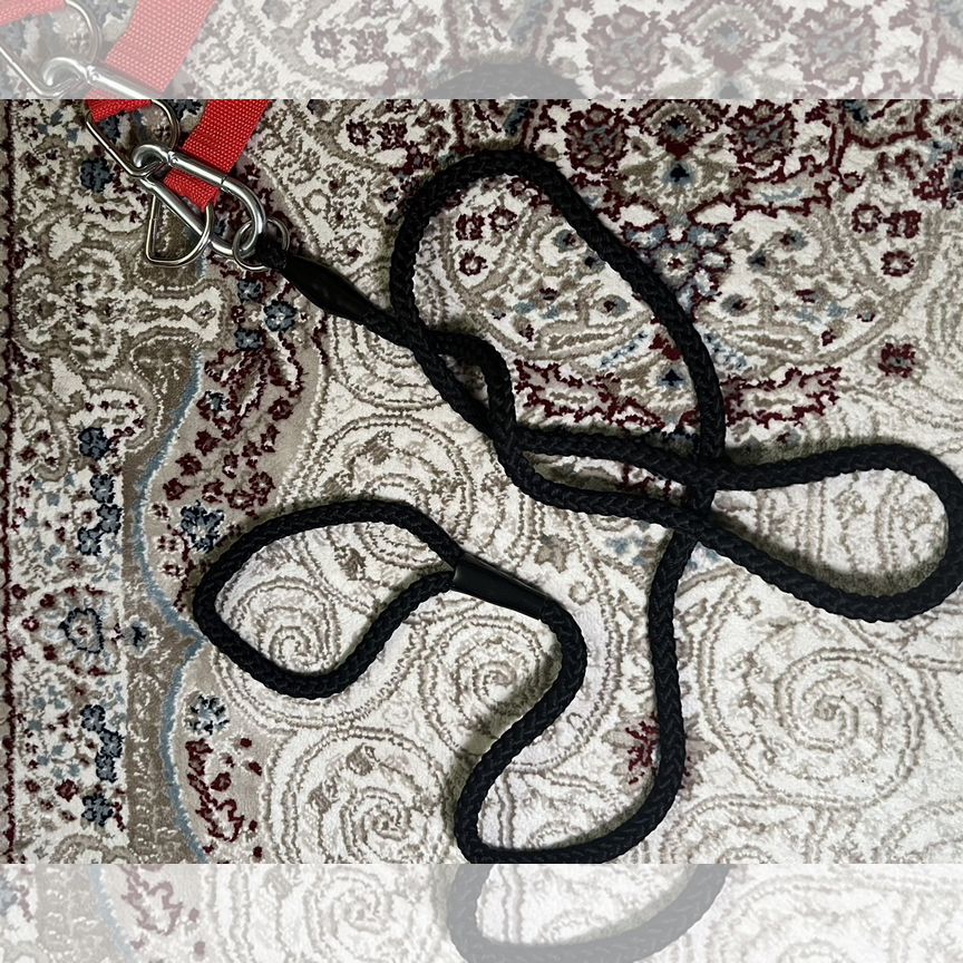 Амуниция для соба