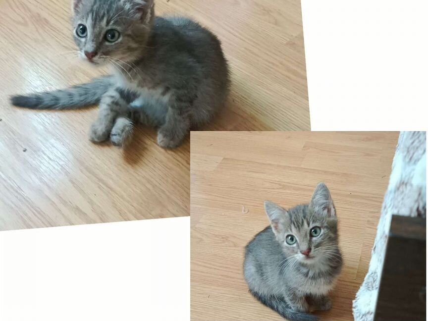 Мальчик ищет семью