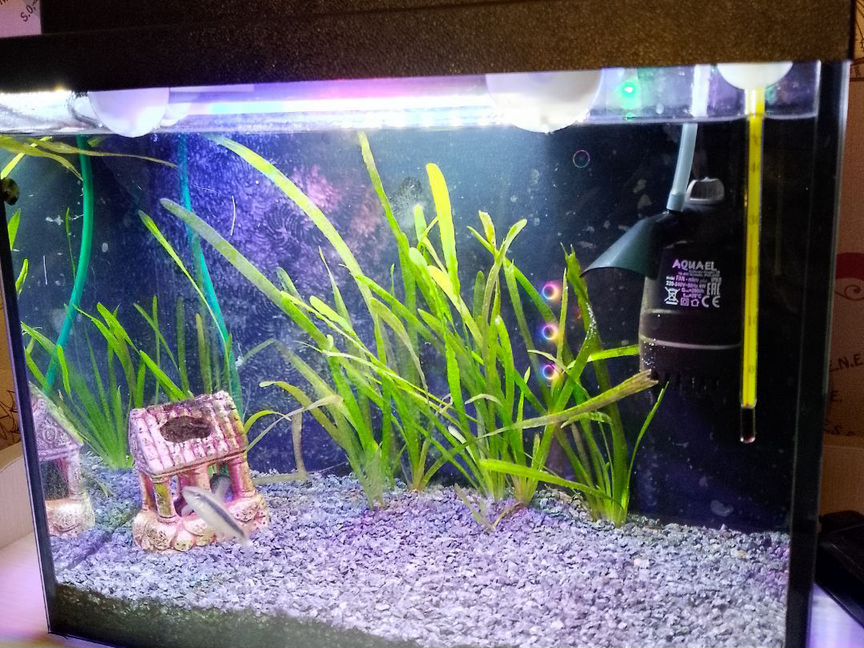 Украшение для аквариума