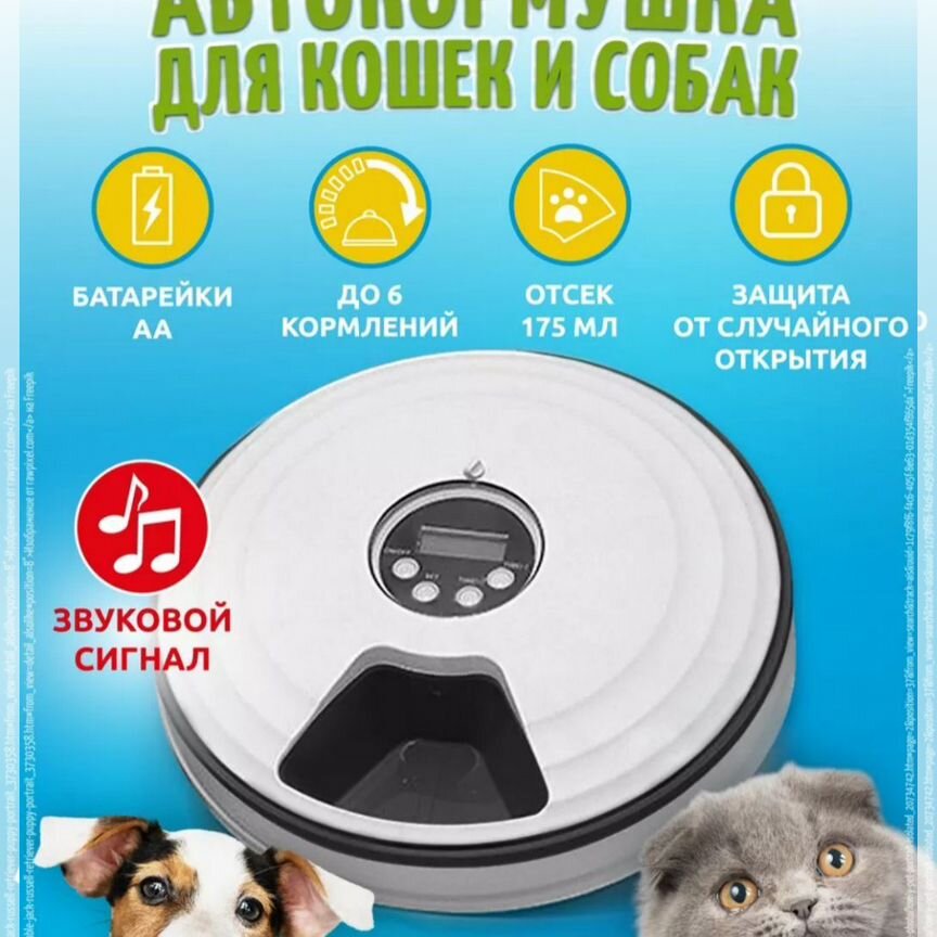 Автоматическая кормушка для собак с таймером