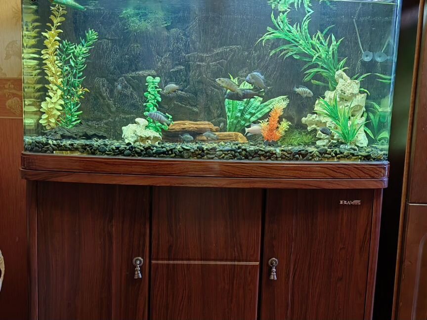 Аквариум BAong Aquarium tank RE 5100 с тумбой бу