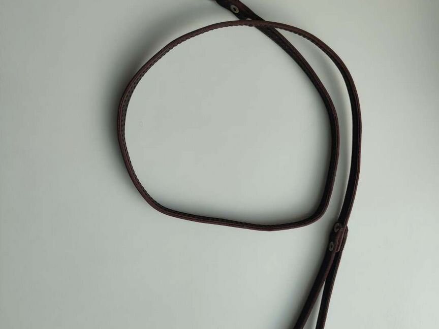 Разная амуниция для собак