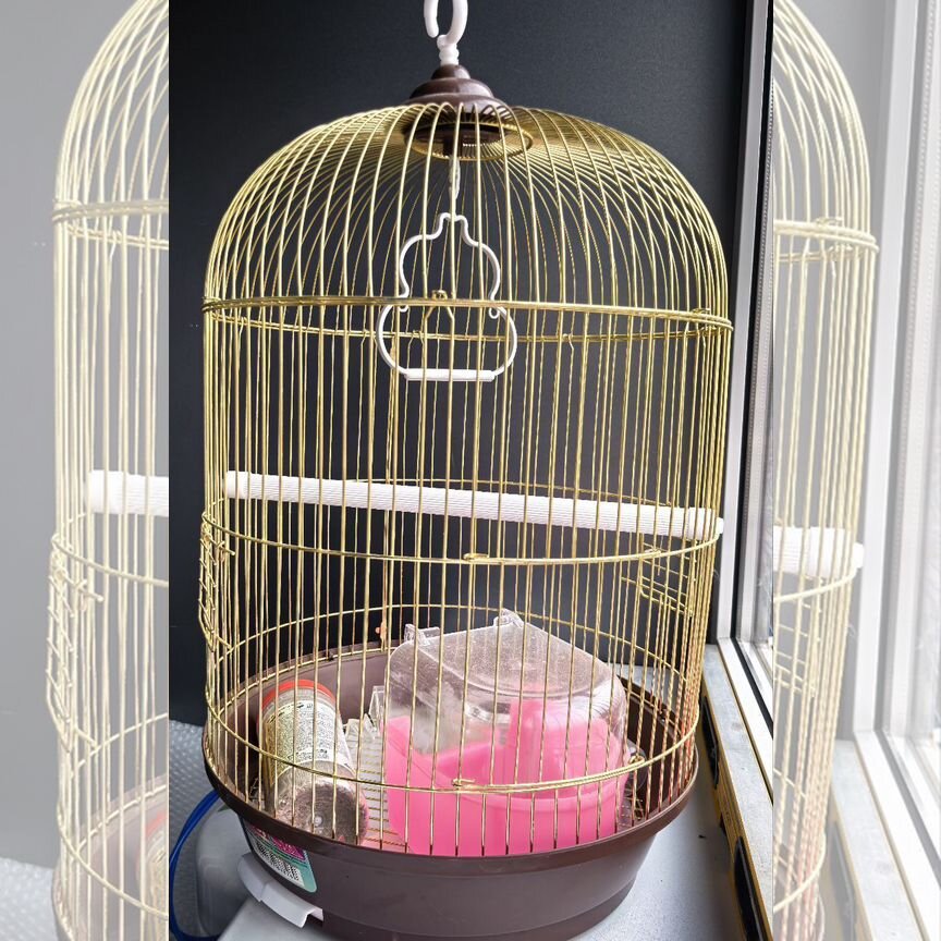 Клетка для попугая