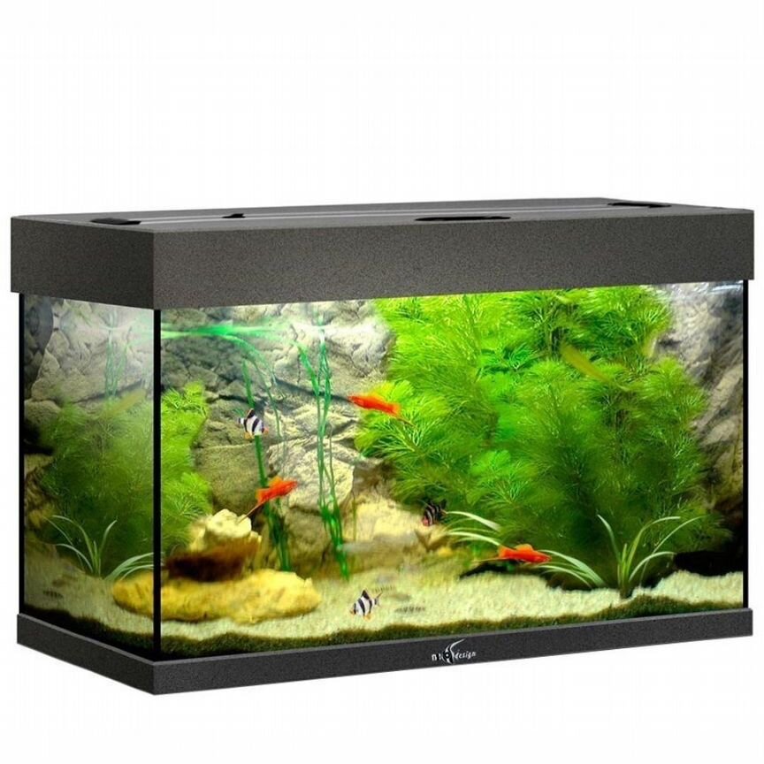 Аквариум 120л