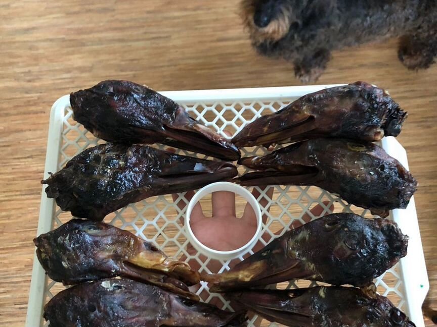 Утиные головы и другие полезныелакомства для собак