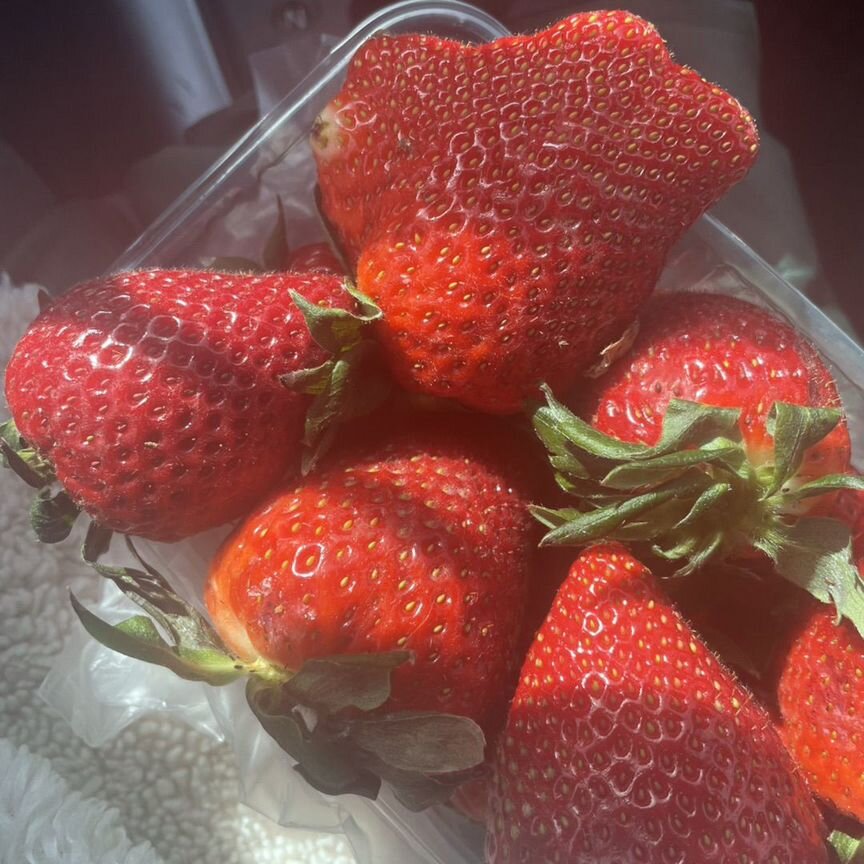 Забирать отходы