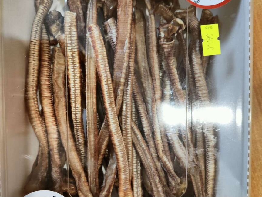 Вещи для собак