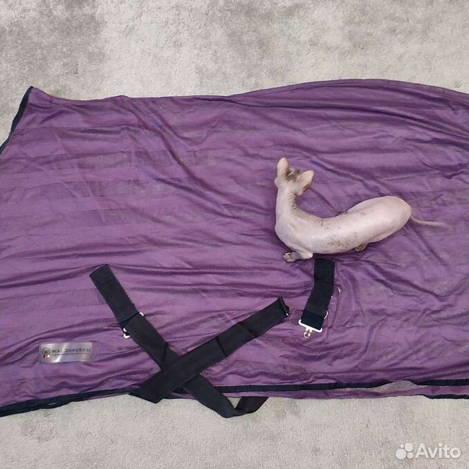 Попона для лошади москитная флисовая дождевая