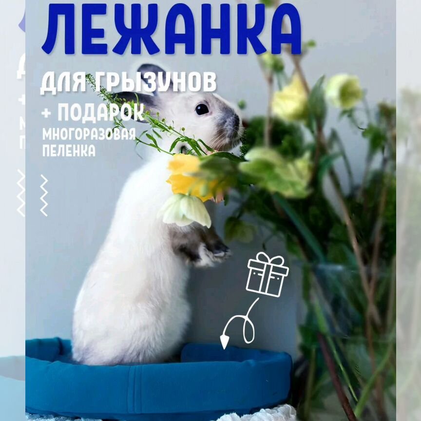 Лежанка для крупных грызунов