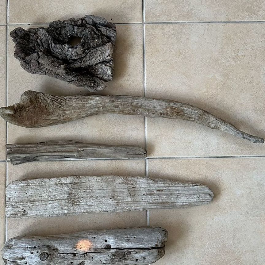 Коряга дрифтвуд