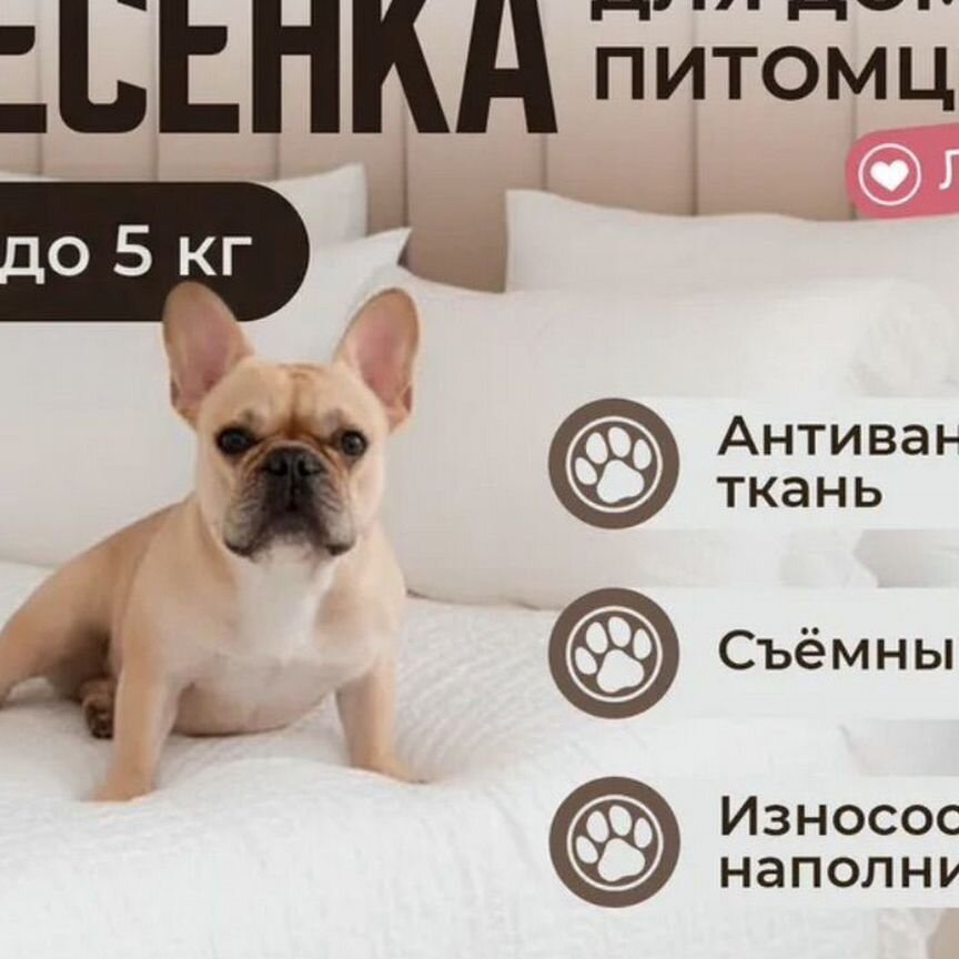 Лестница для собак