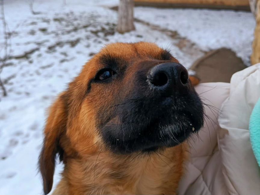 Кекс с изюминкой