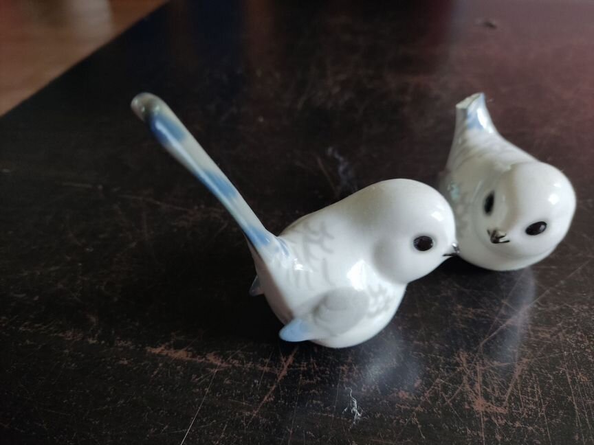 Синица фарфор