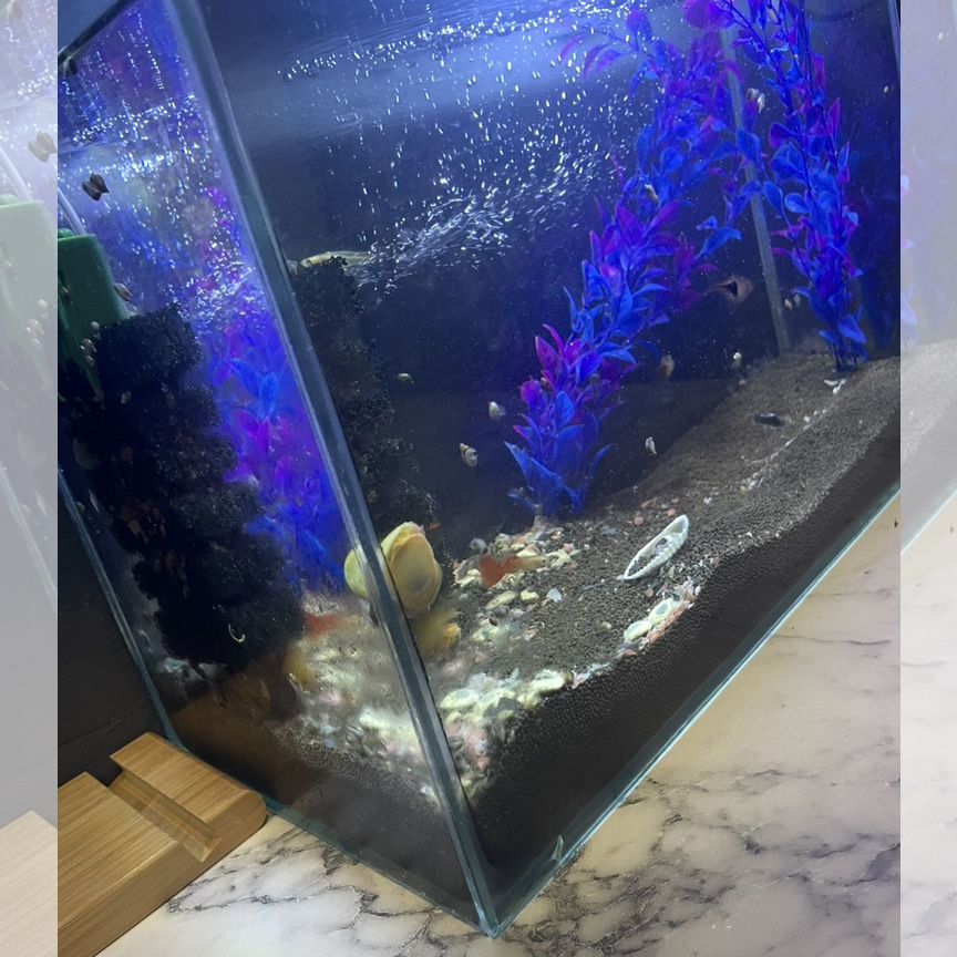 Аквариум 20л б/у для рыбок/красноухой черепахи