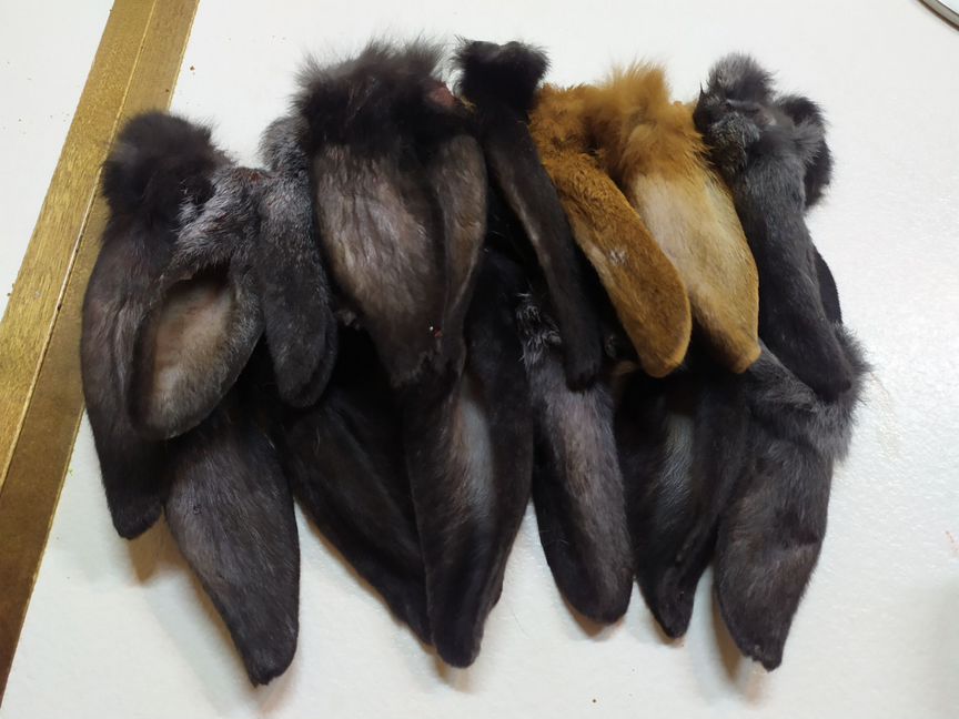 Лакомство для собак (Уши и Лапы кролика)