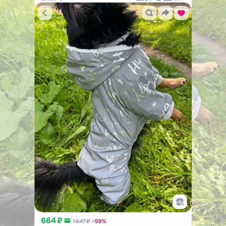 Одежда для собак средних пород зимняя