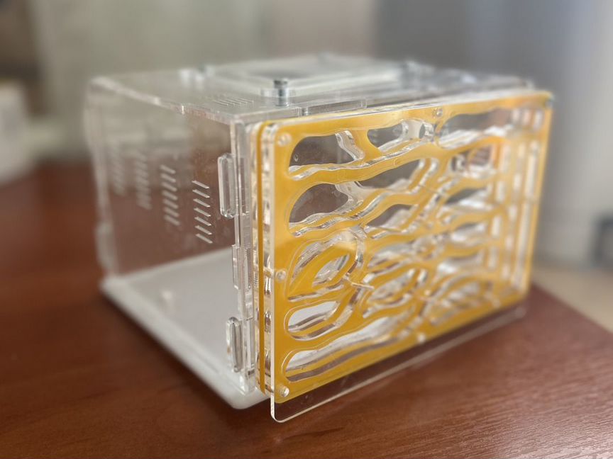 Муравьиная ферма без муравьев