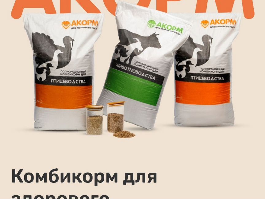 Акорм комбикорм