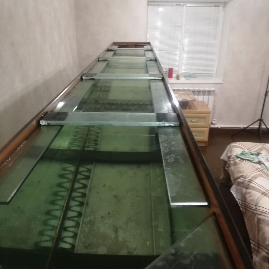 Большой аквариум