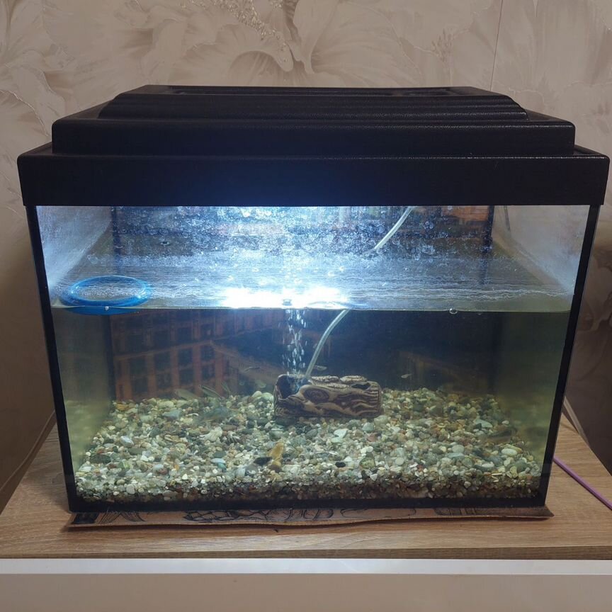 Аквариум 30л со всем необходимым и рыбками