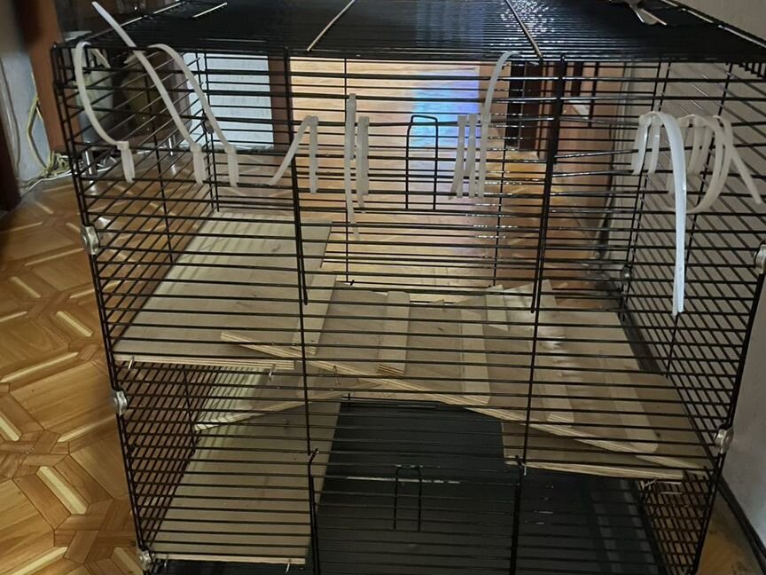 Клетка для крупных грызунов бу