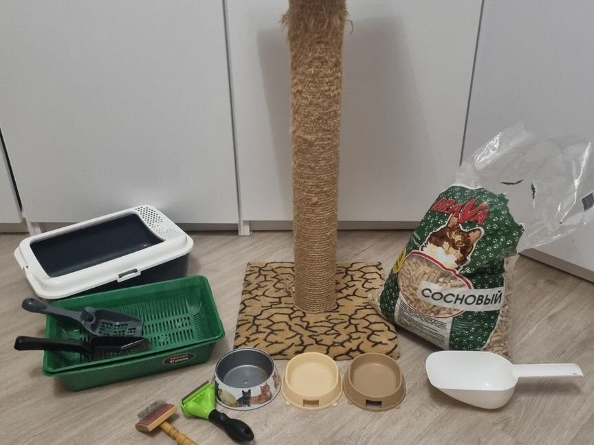 Аксессуары для кошек