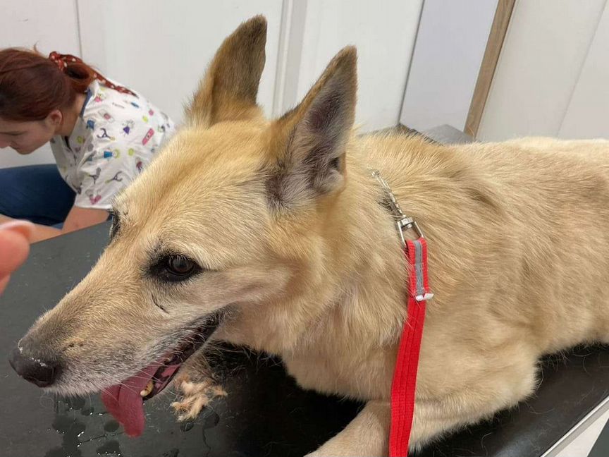 Балта никому не нужна