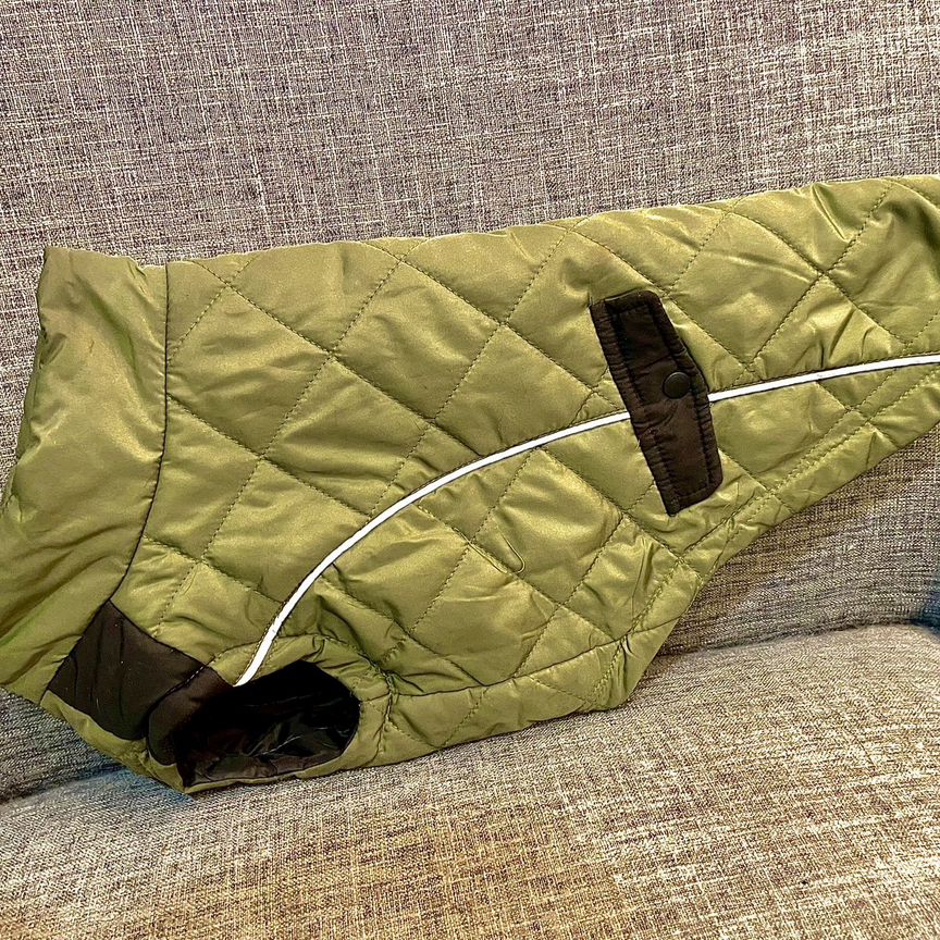 Жилетка Зоозавр на средние породы