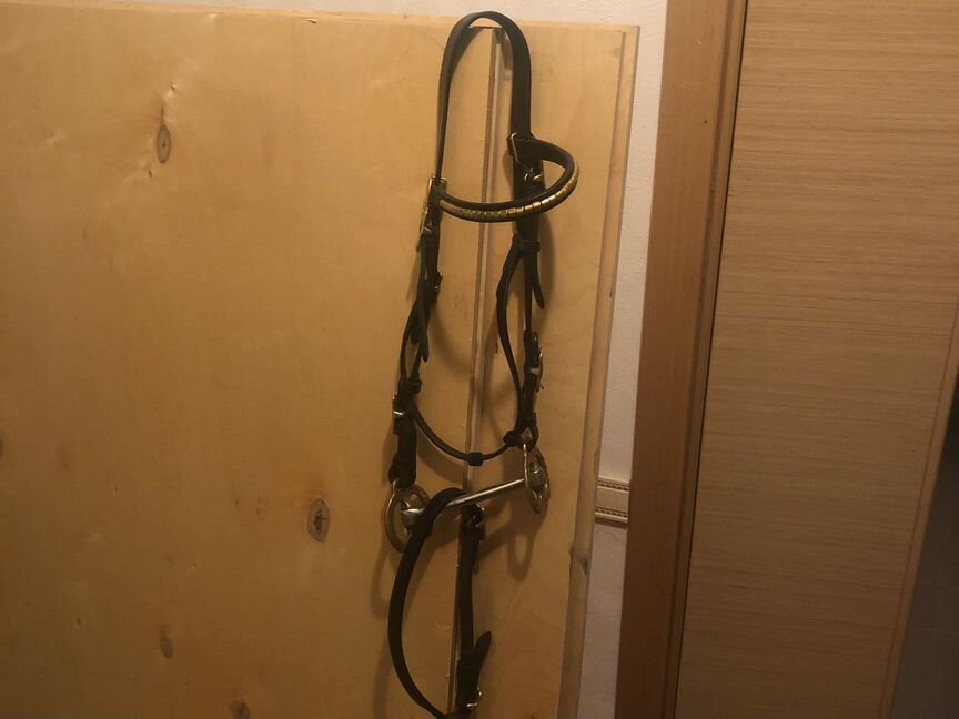 Уздечка для Уэльского пони