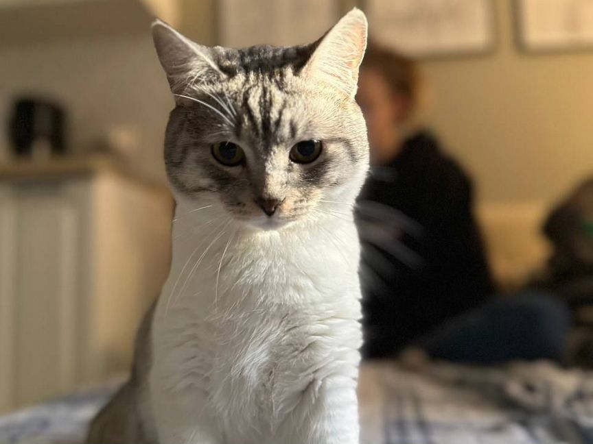 Сашка Санек Александр