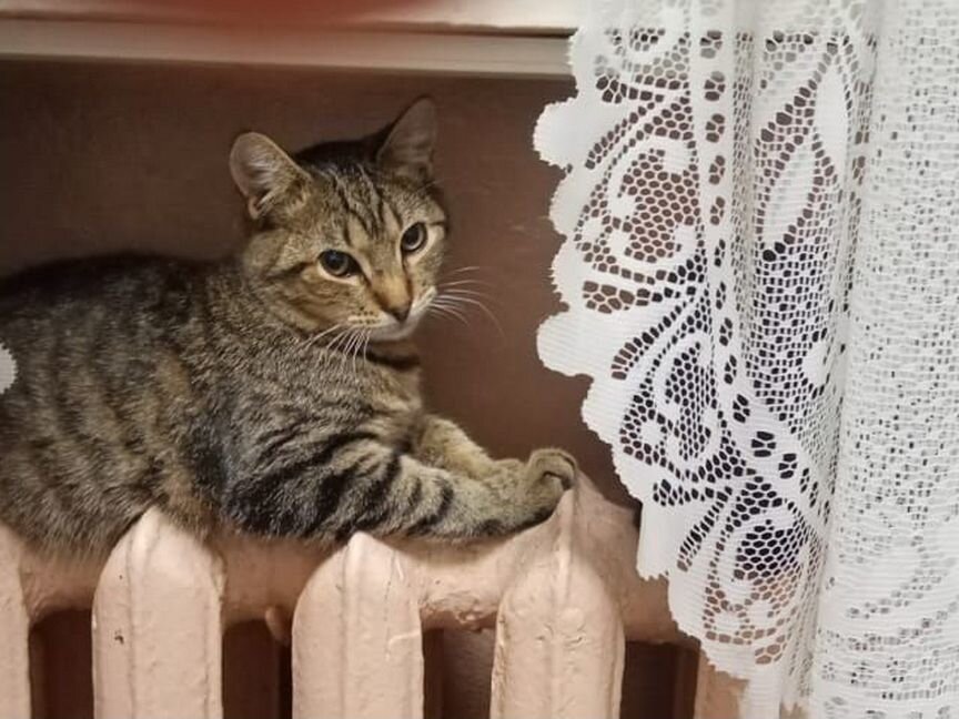 Малышка -подросток замерзала на улице