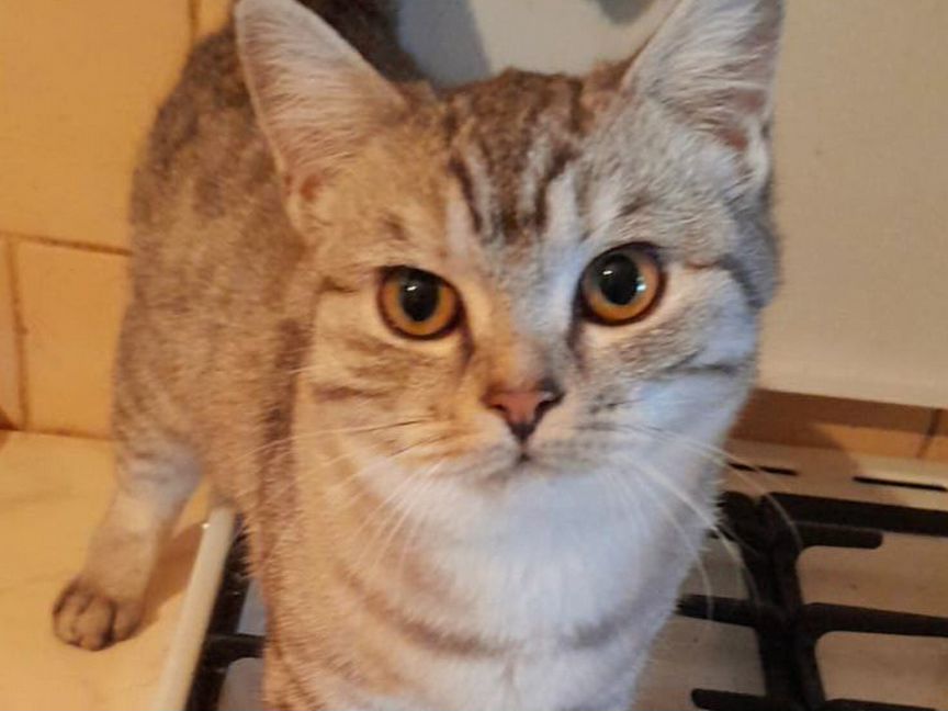 Василиса и Варвара