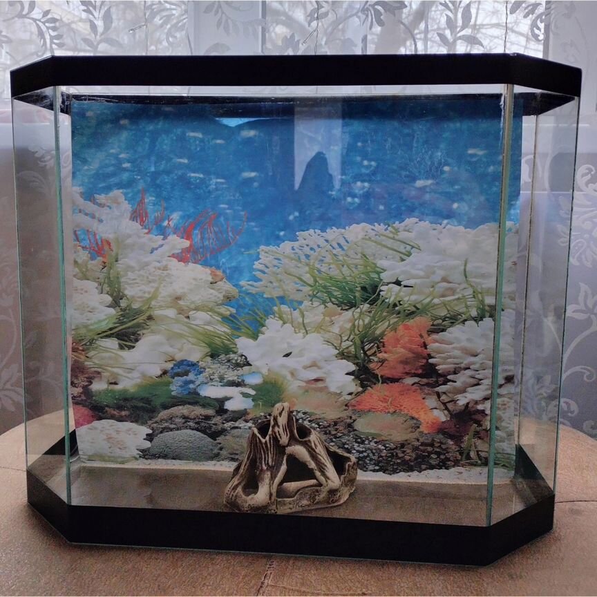 Аквариум панорама 26 литров без крышки