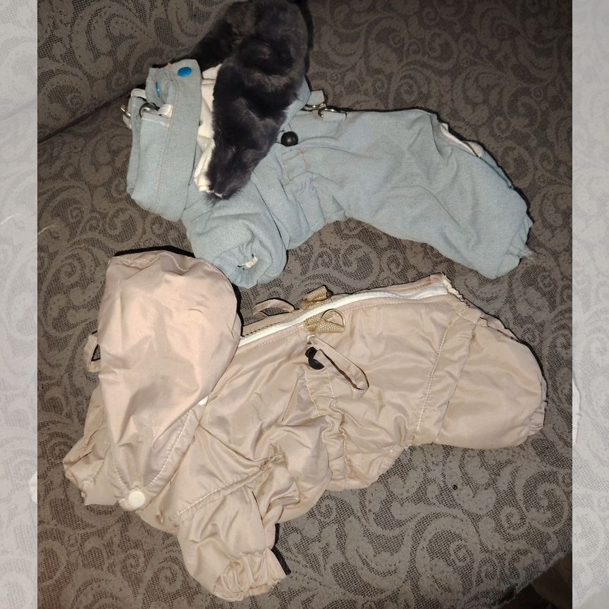 Одежда для маленьких собак