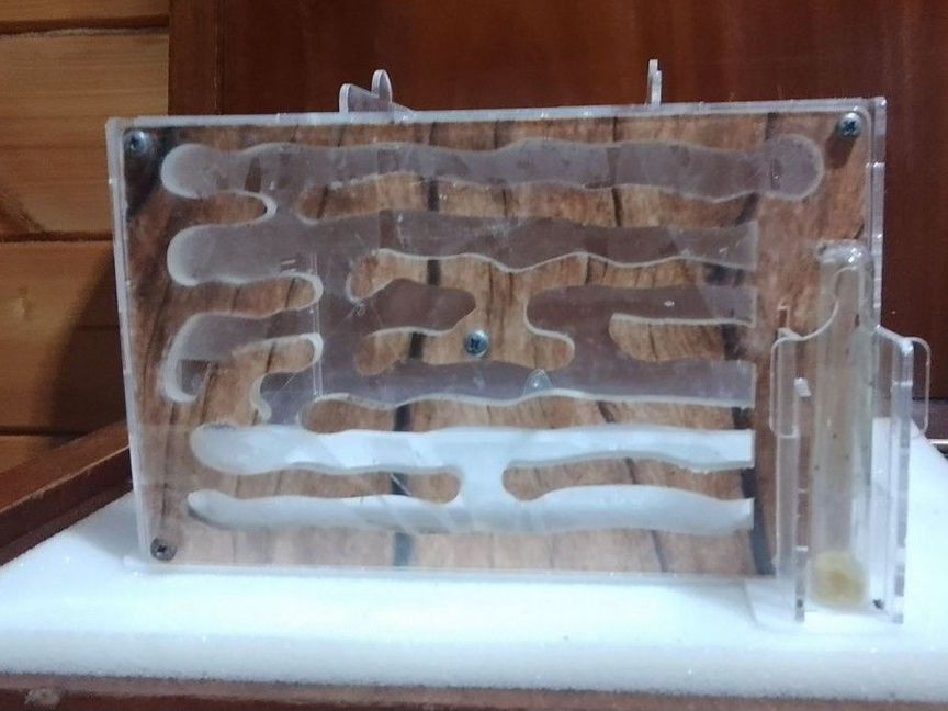 Муравьиная ферма без муравьев