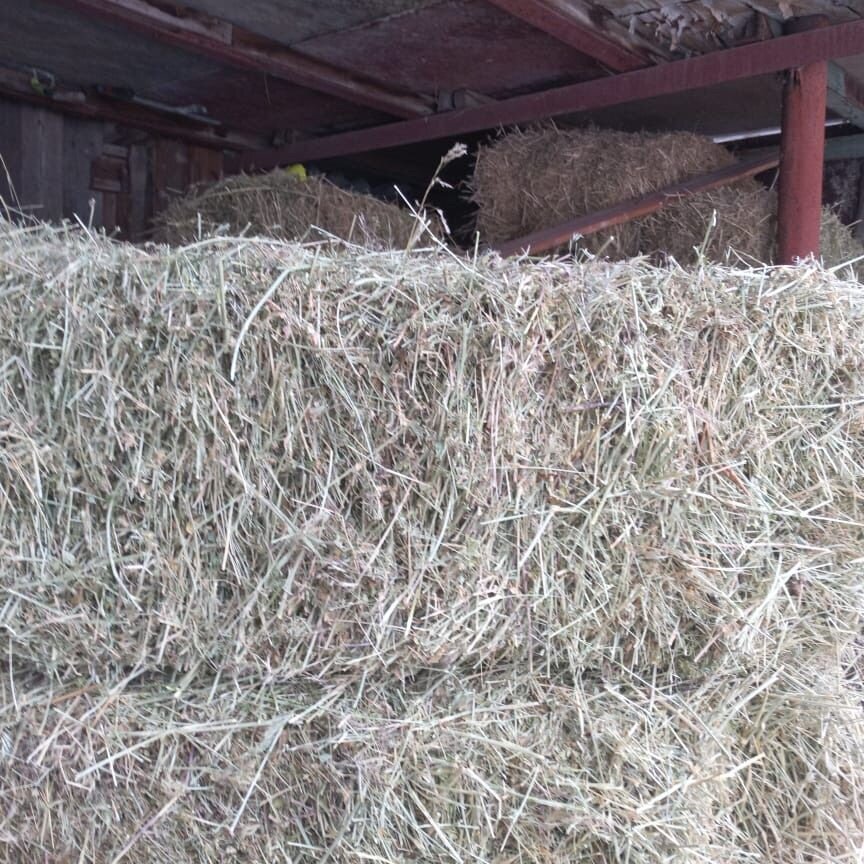 Сено в тюках