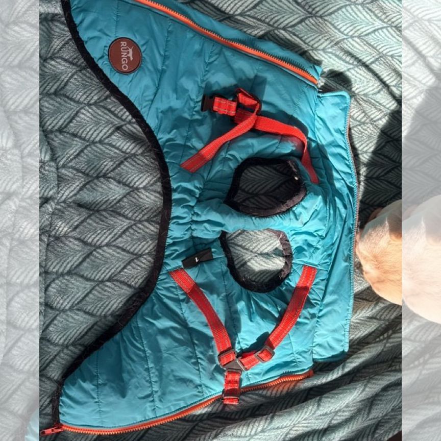 Одежда для собак