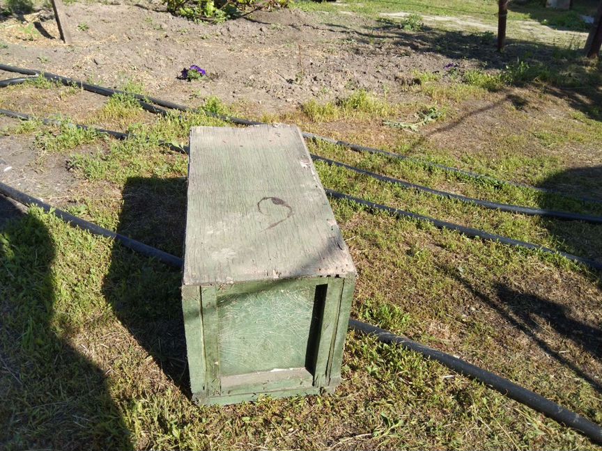 Ловушки для пчел