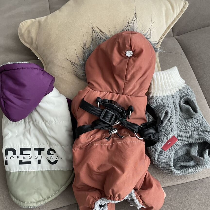Одежда для собак мелких пород девочек