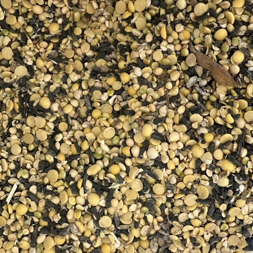 Соя, отходы(вторые сорта)