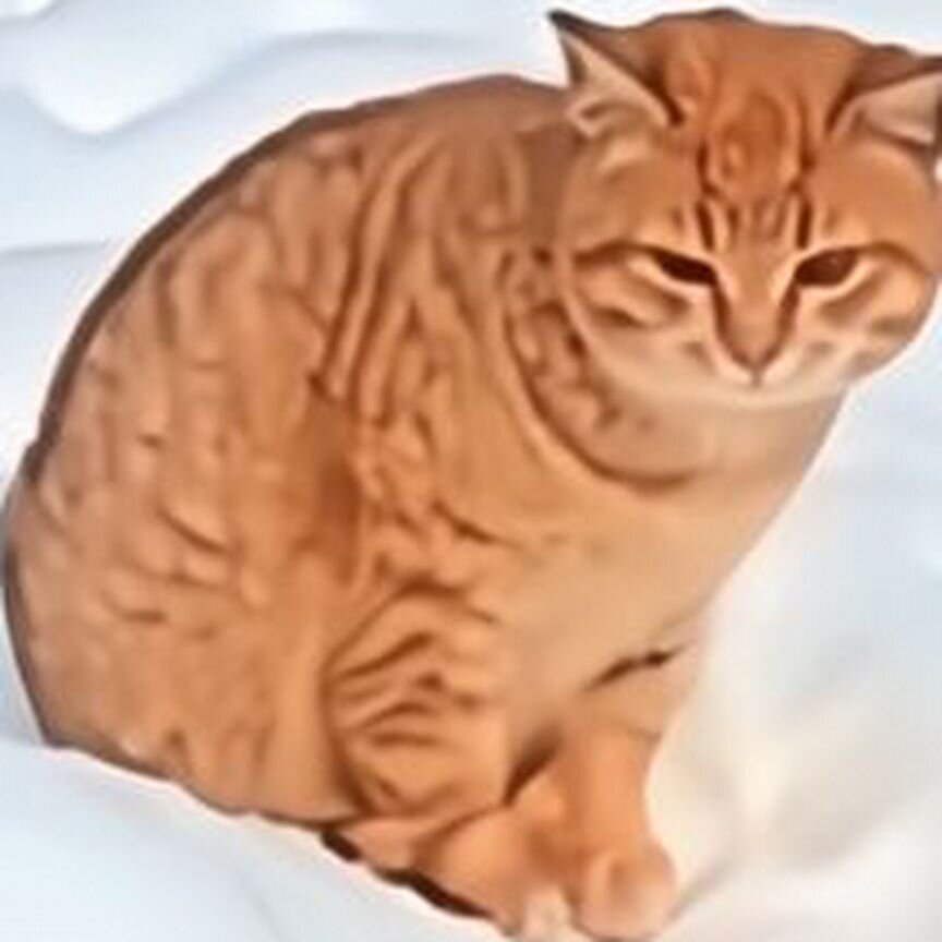 Американский короткошёрстный, взрослый кот