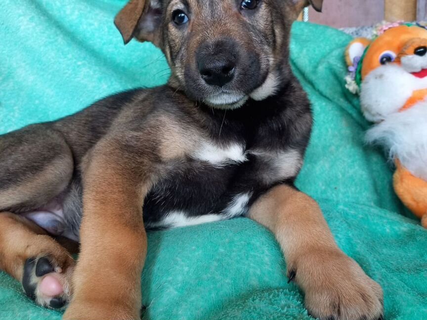 Симпатичный мальчишка