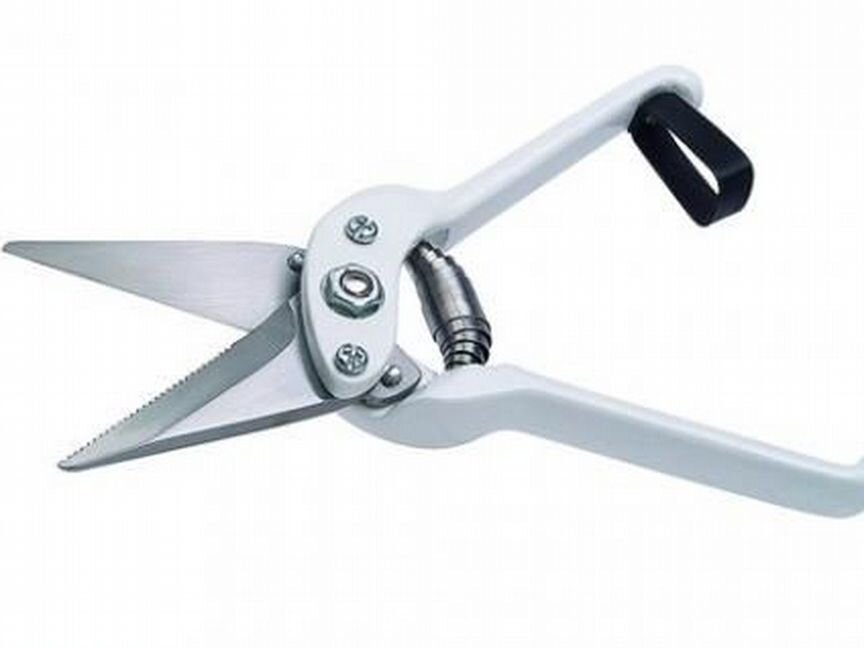 Ножницы для копыт Франция, Германия