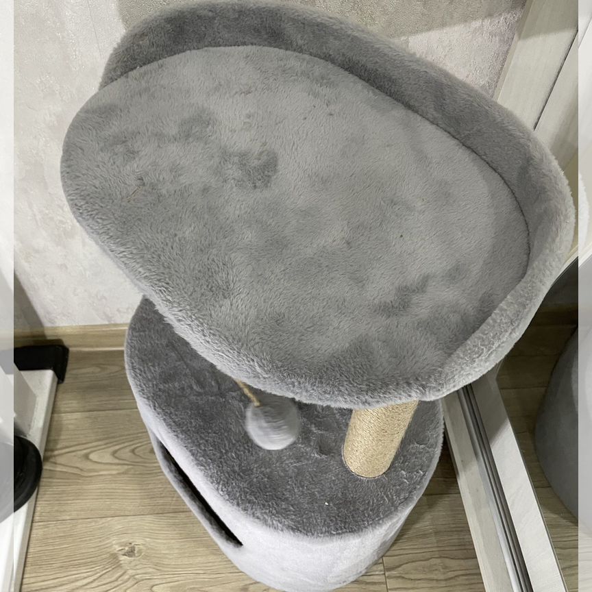 Кошачий домик