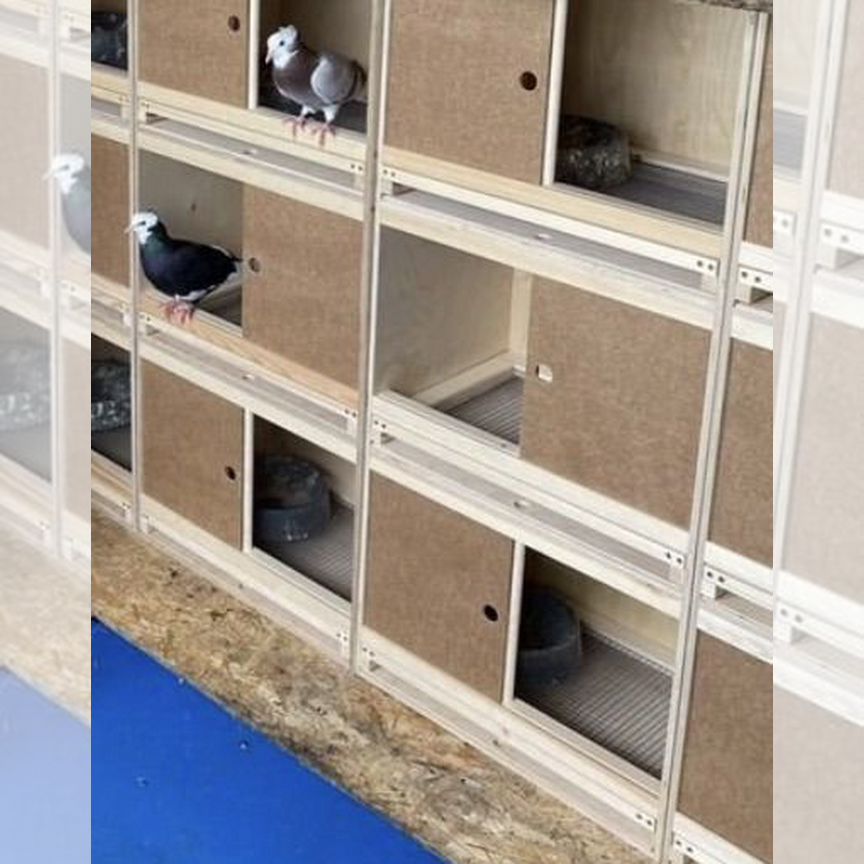 Гнезда для голубей