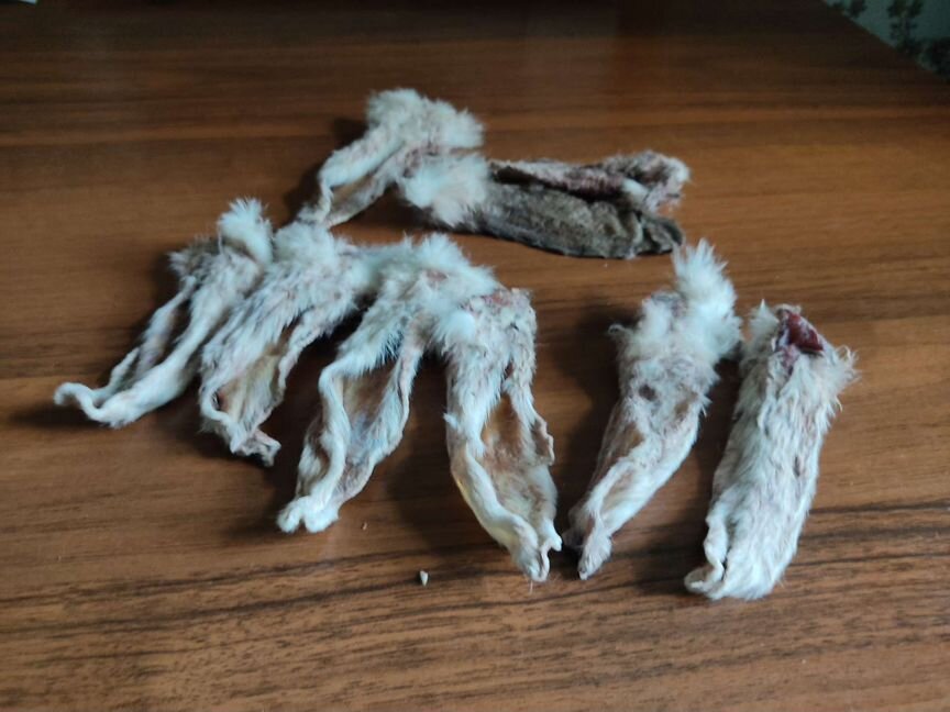 Уши кролика сушеные